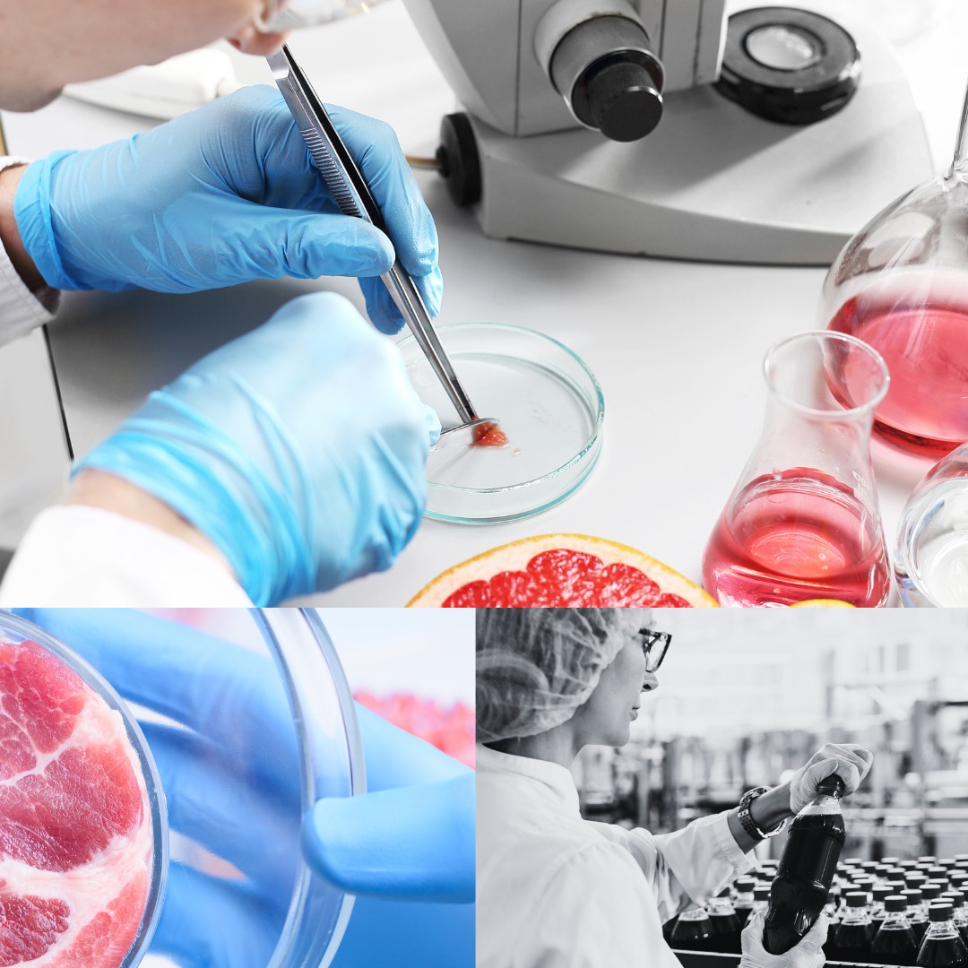 Facultad de Bromatologia – UNER Facultad de Bromatologia – UNER